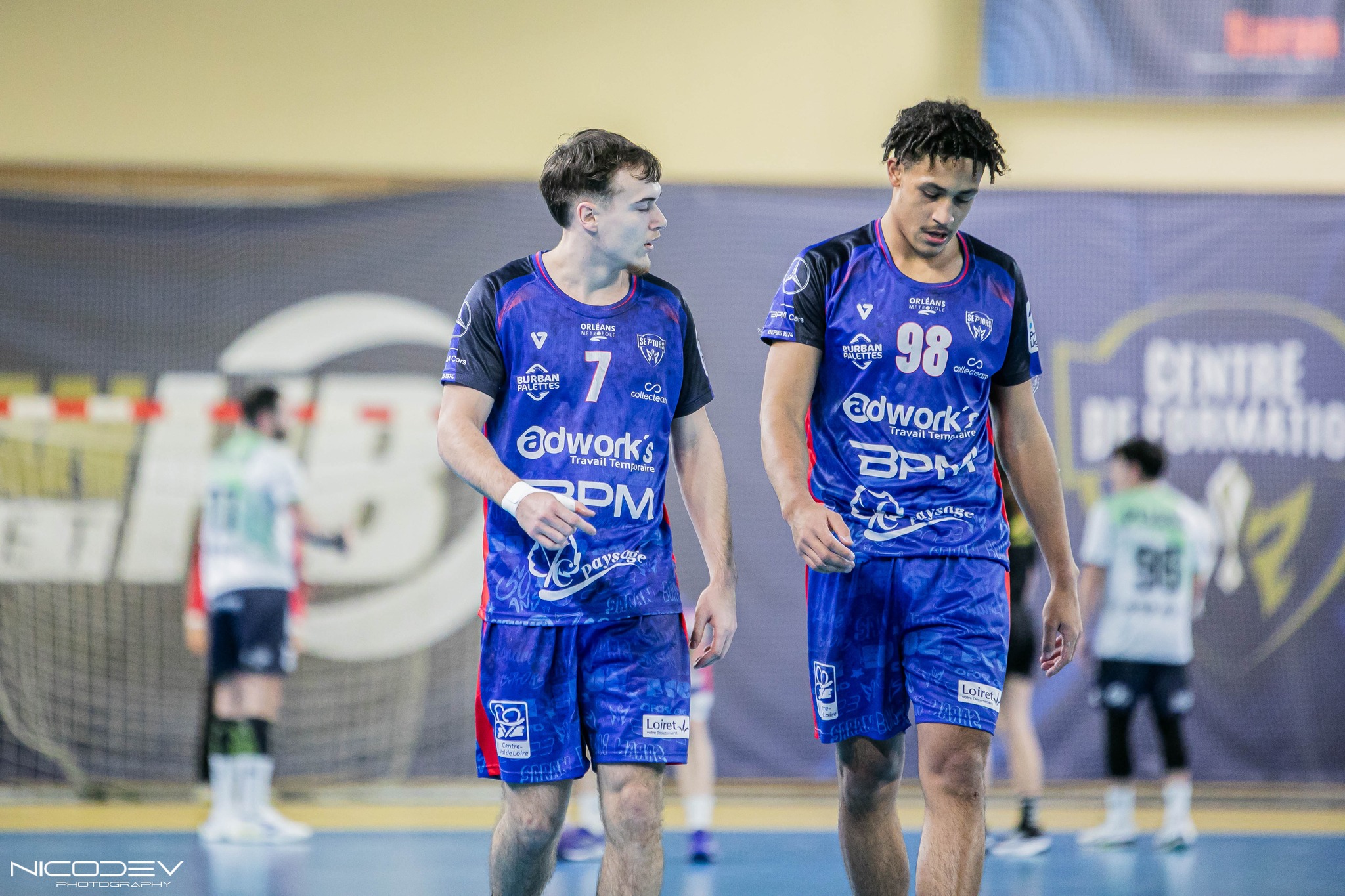 #N1Fédérale : De nouvelles têtes pour la rentrée ! - Les Septors